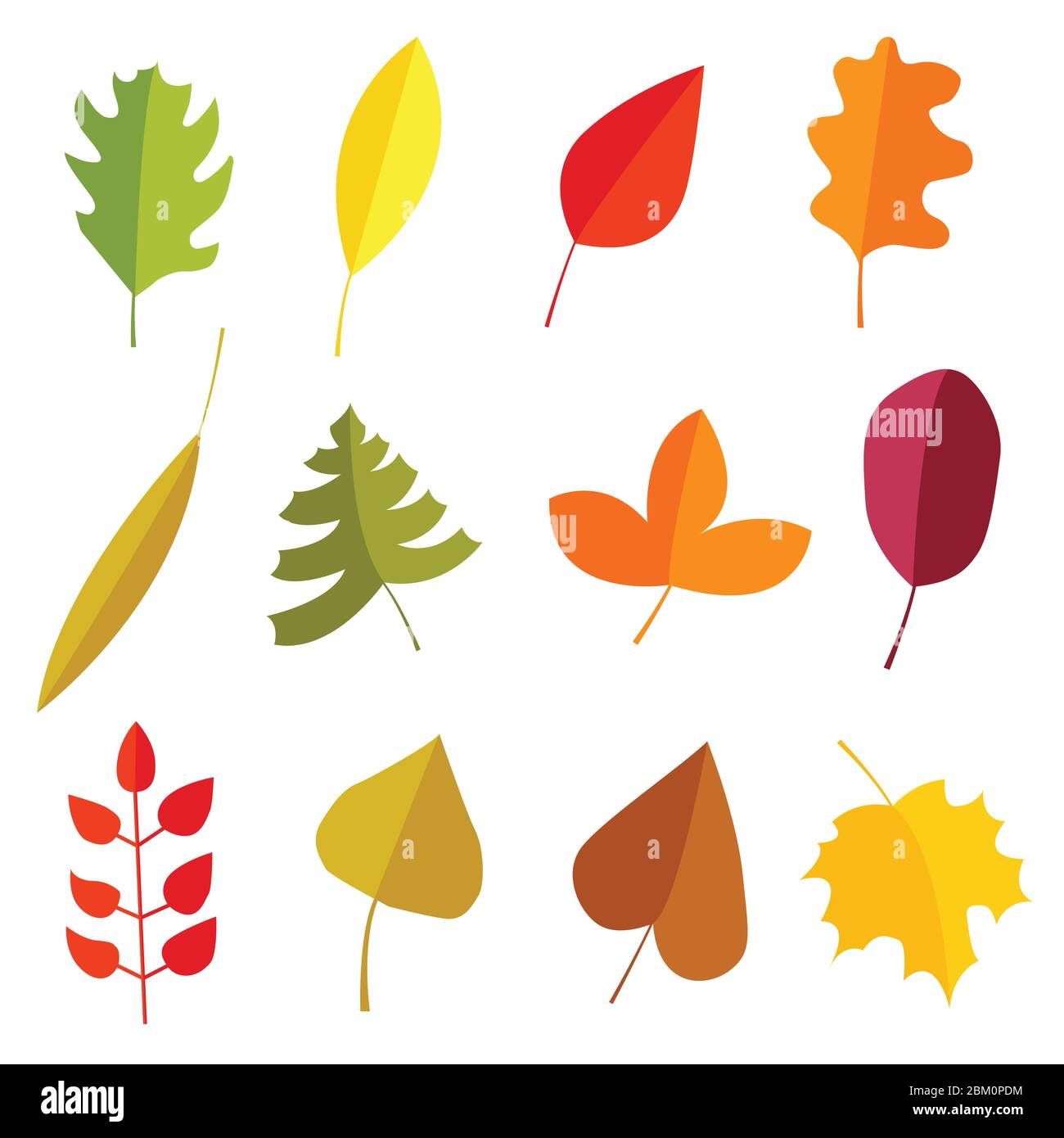Autumn leaves set. Vector illustration of simple cartoon flat style ...