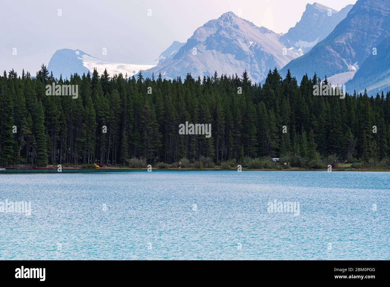 athabaska river sceneries along the Icefields Parkway, Alberta, Canada ...
