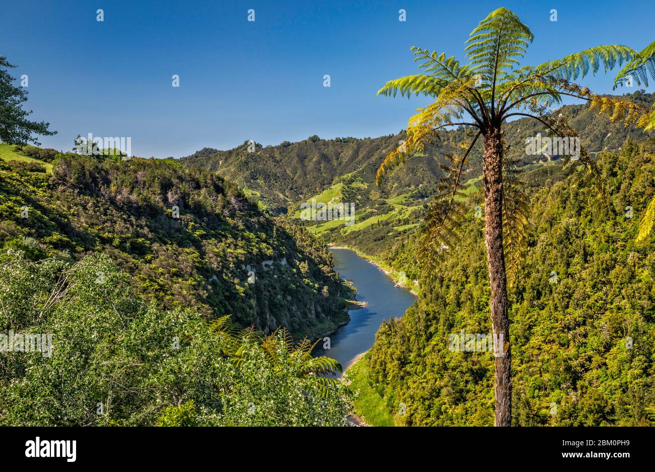 Whanganui river wilderness hi-res stock photography and images - Alamy