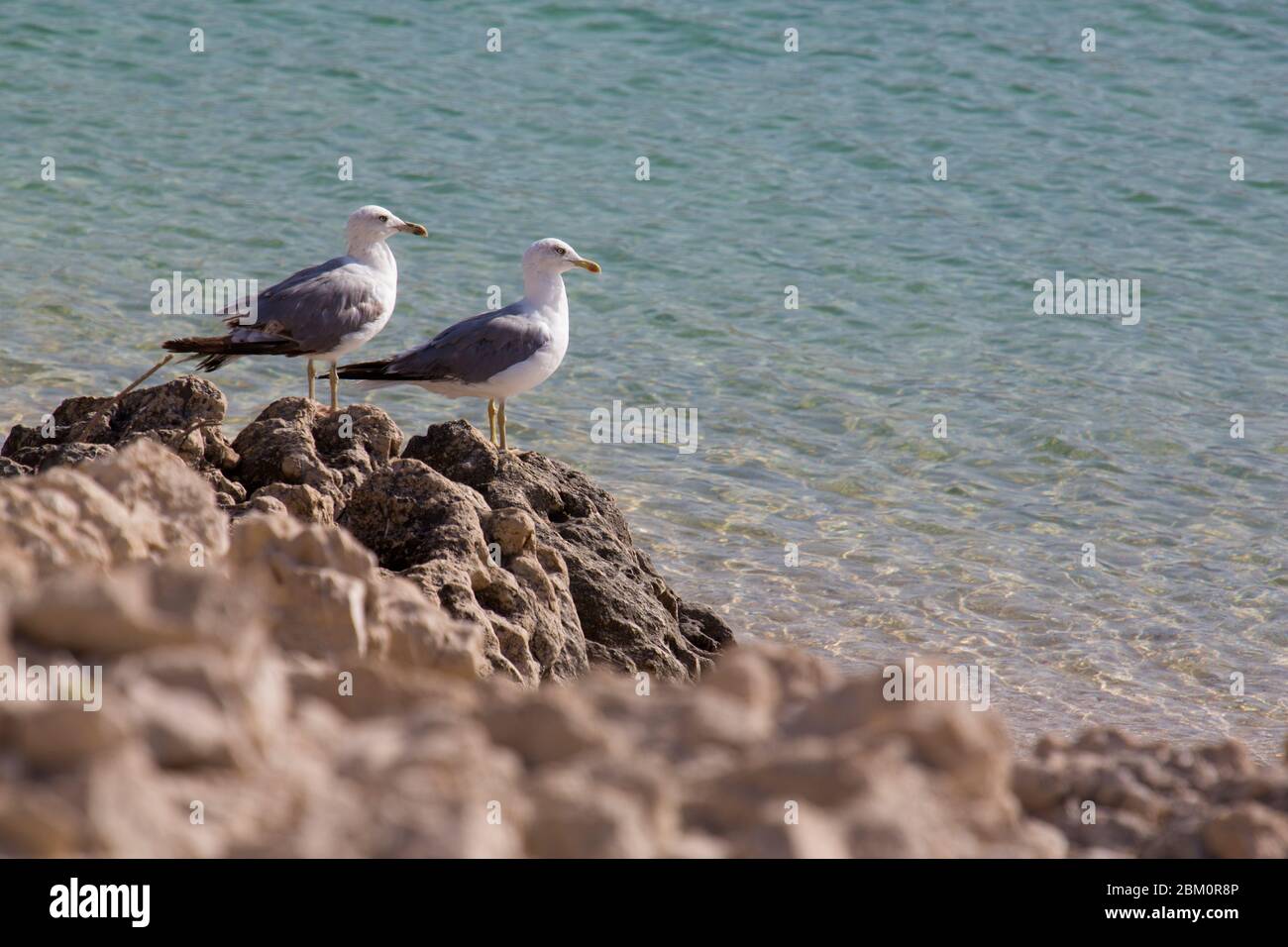 Two high rocks hi-res stock photography and images - Alamy