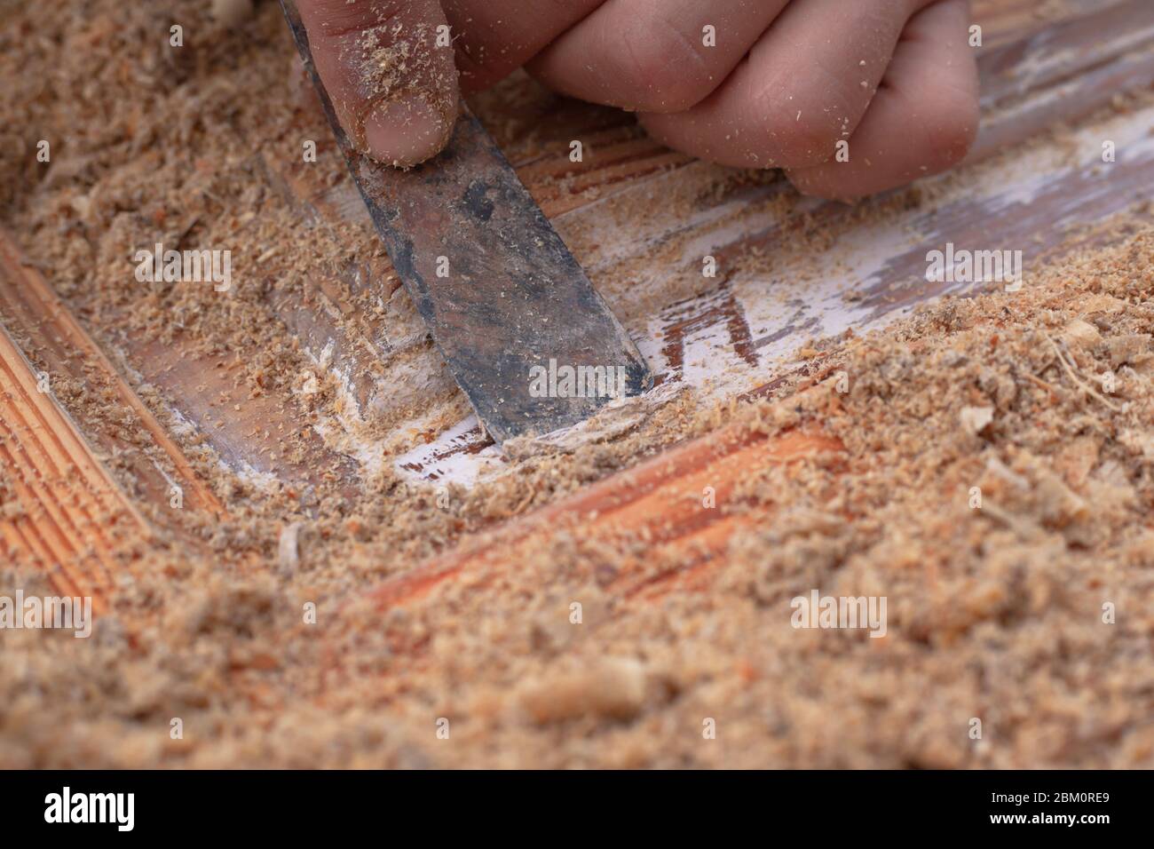 cleaning a wooden old door from paint with an spatula close-up ...