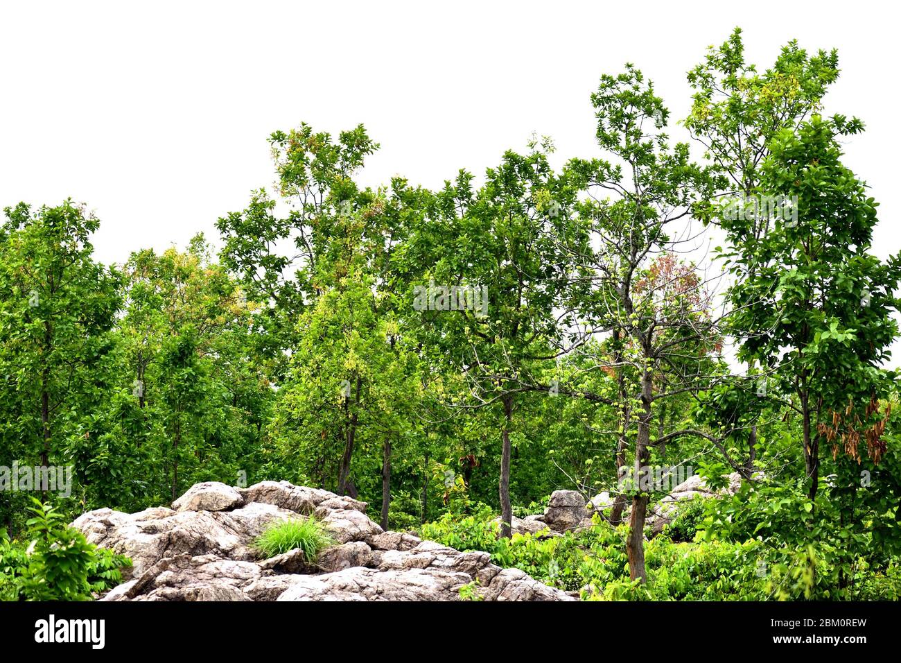 Flagstone texture hi-res stock photography and images - Alamy