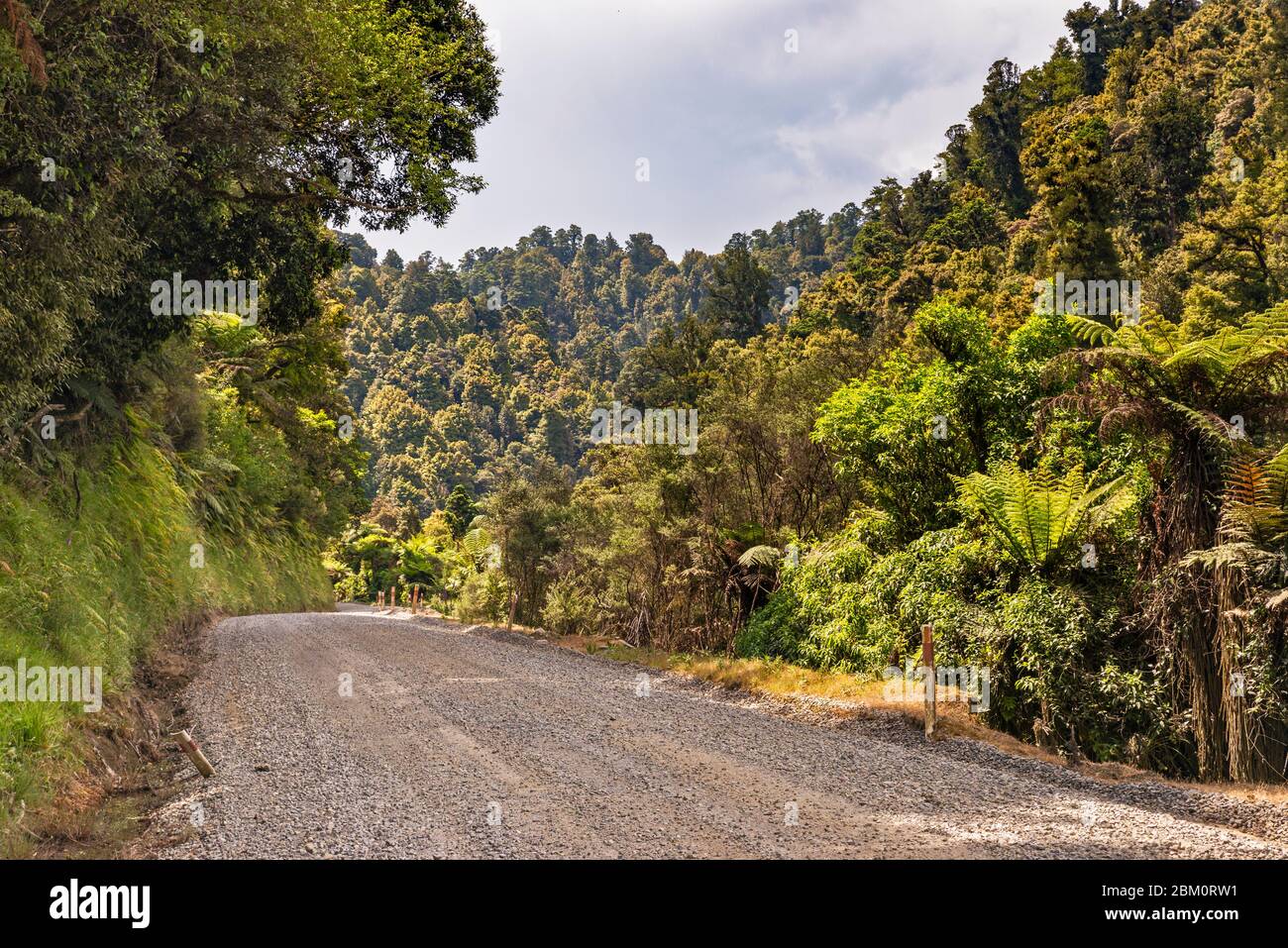 Wanganui Gorge High Resolution Stock Photography and Images - Alamy