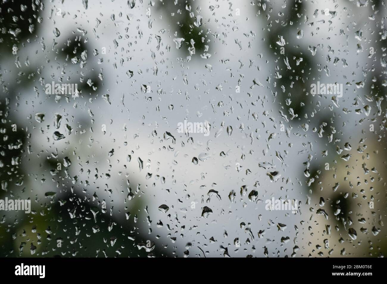 Vineyard through window hi-res stock photography and images - Alamy