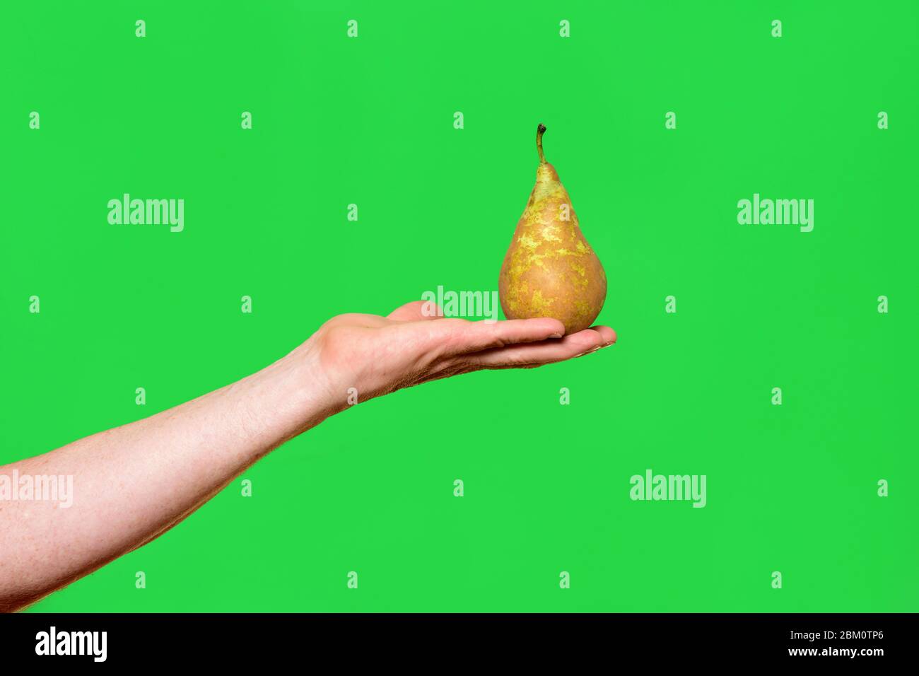 Man hand holding pear hi-res stock photography and images - Alamy