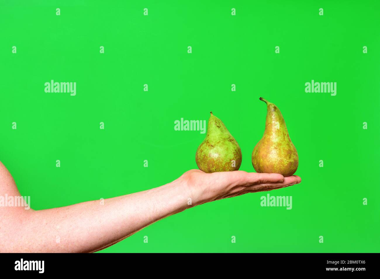 hand holding a two pears on green background Stock Photo - Alamy