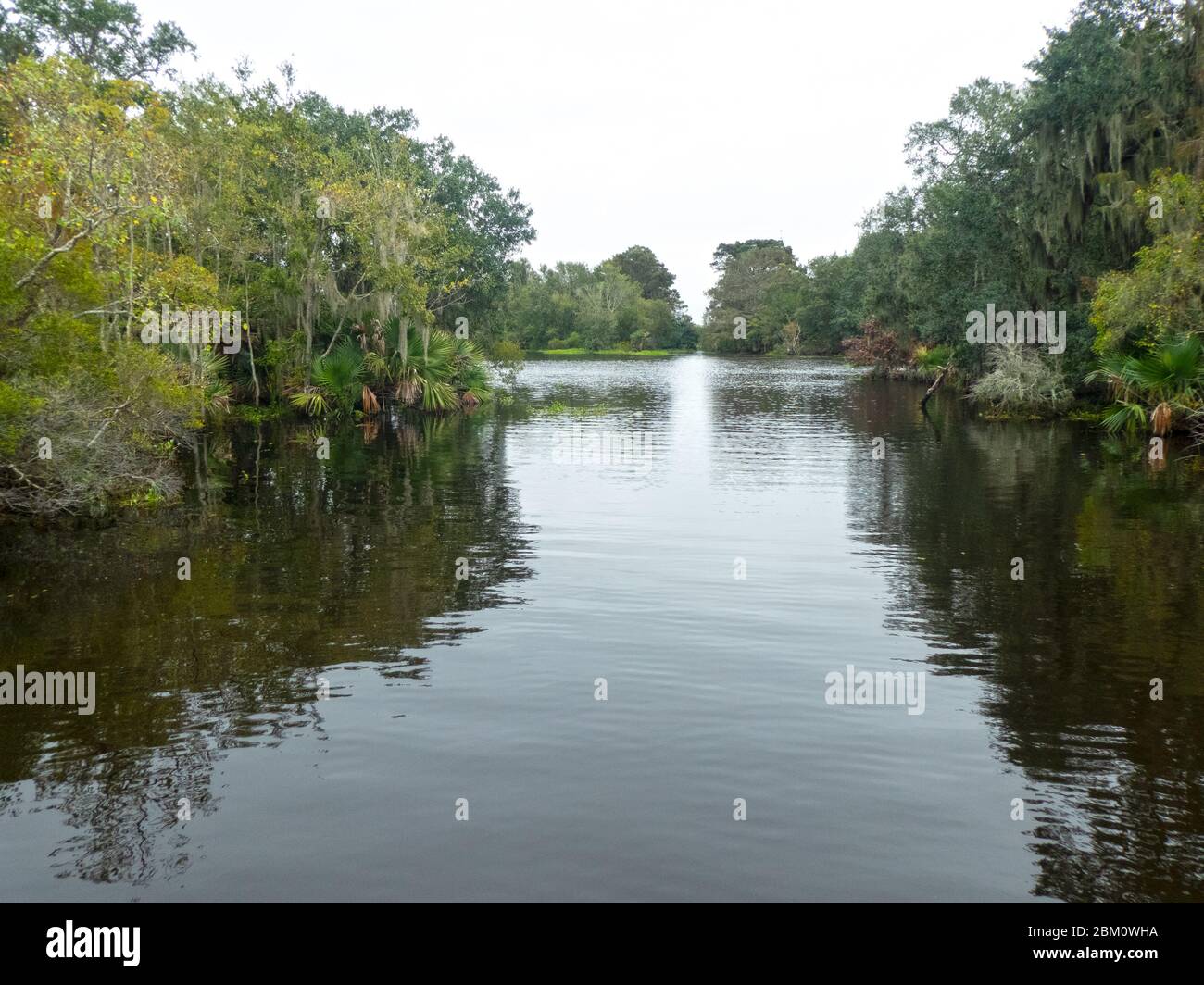 Swampland river hi-res stock photography and images - Alamy