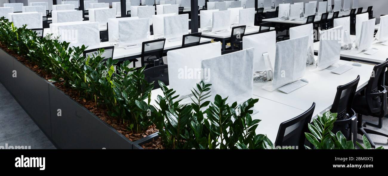 Modern co-working rental office with computers, green plants Stock ...