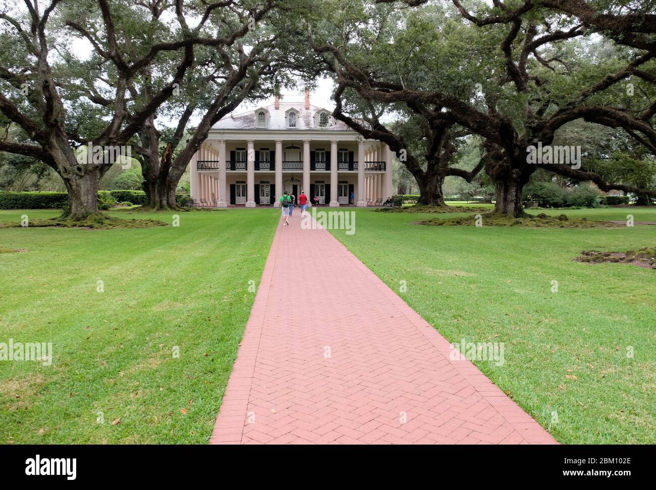 Plantation mansion oak tree hi-res stock photography and images - Alamy