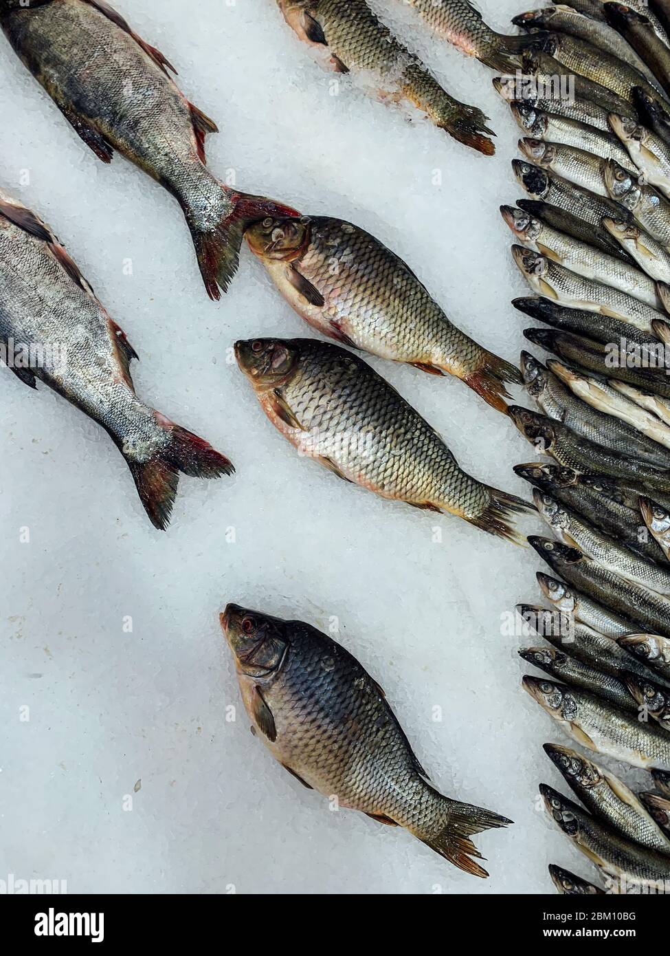 lots of fresh fish for cooking background Stock Photo - Alamy