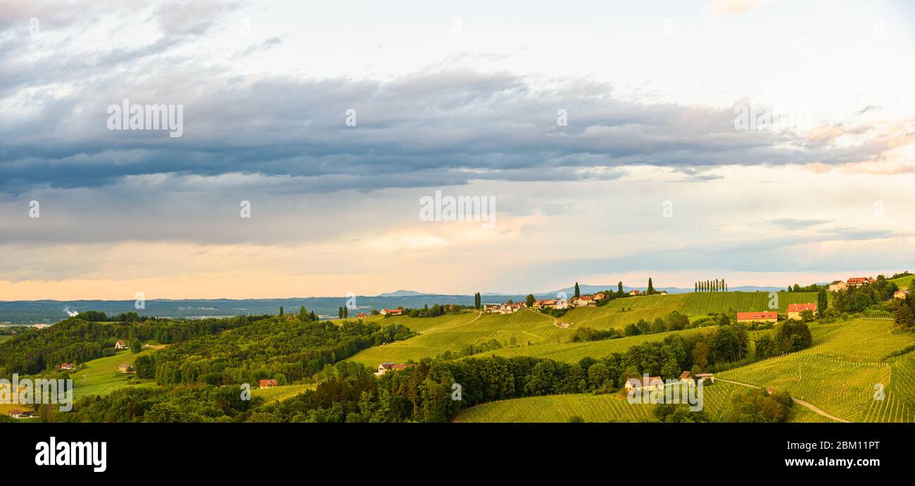 Panorama of vineyards hills in south Styria, Austria. Tuscany like ...