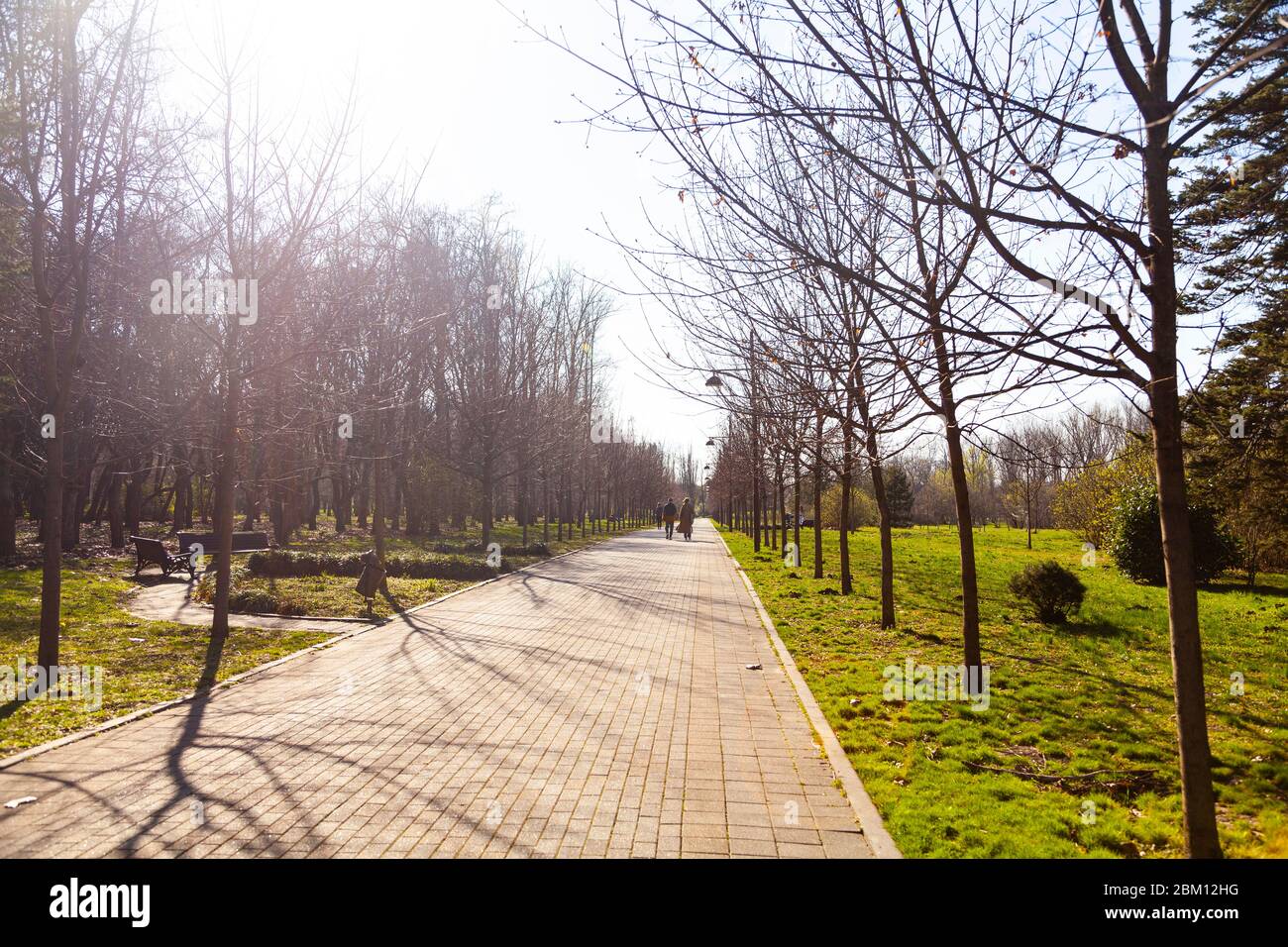 Spring landscape. People walk along the alley in the spring park Stock ...