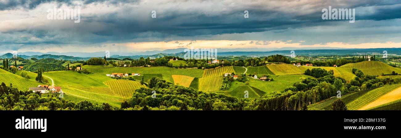 Panorama of vineyards hills in south Styria, Austria. Tuscany like ...
