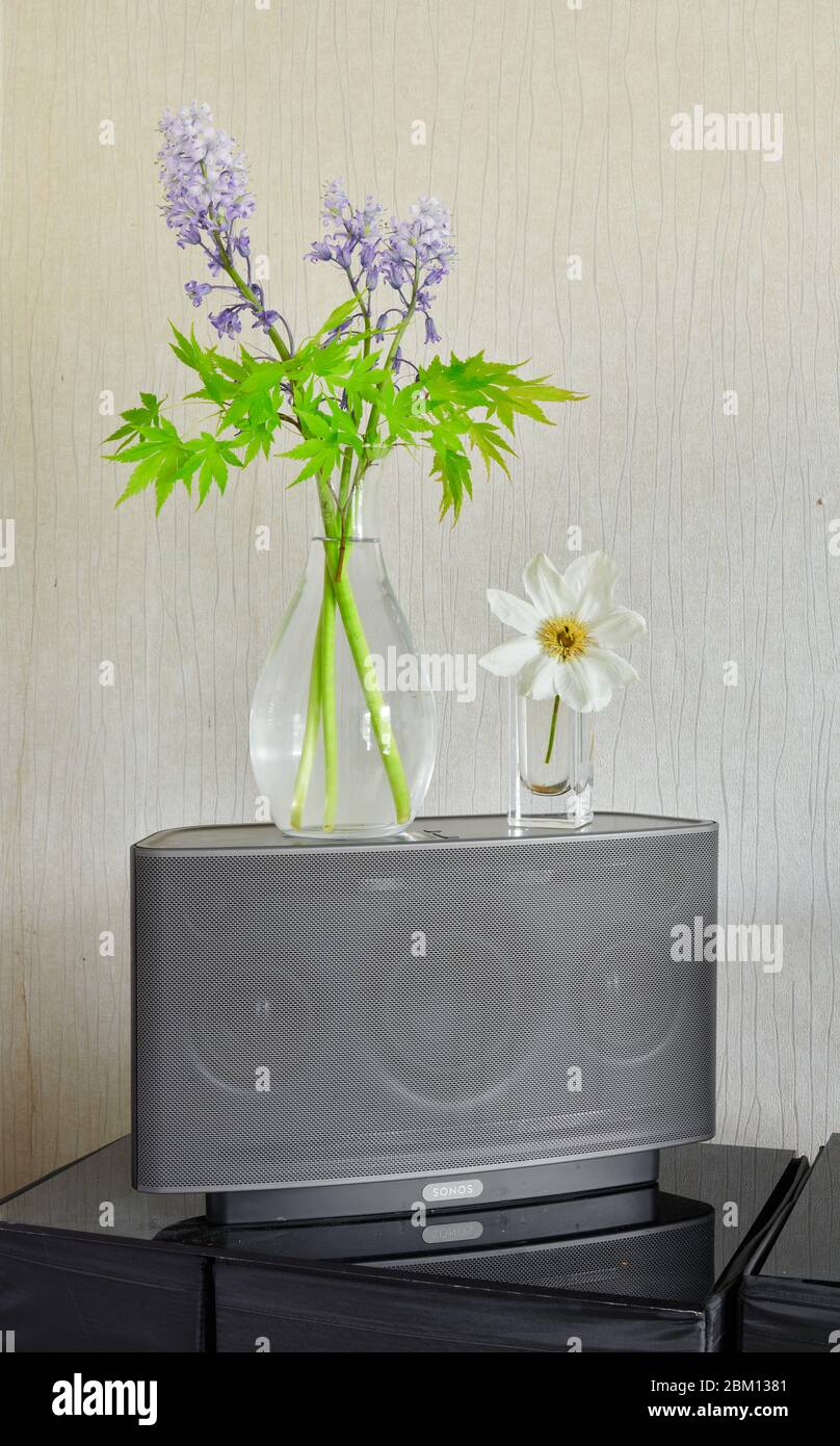 Family home display hi-res stock photography and images - Alamy