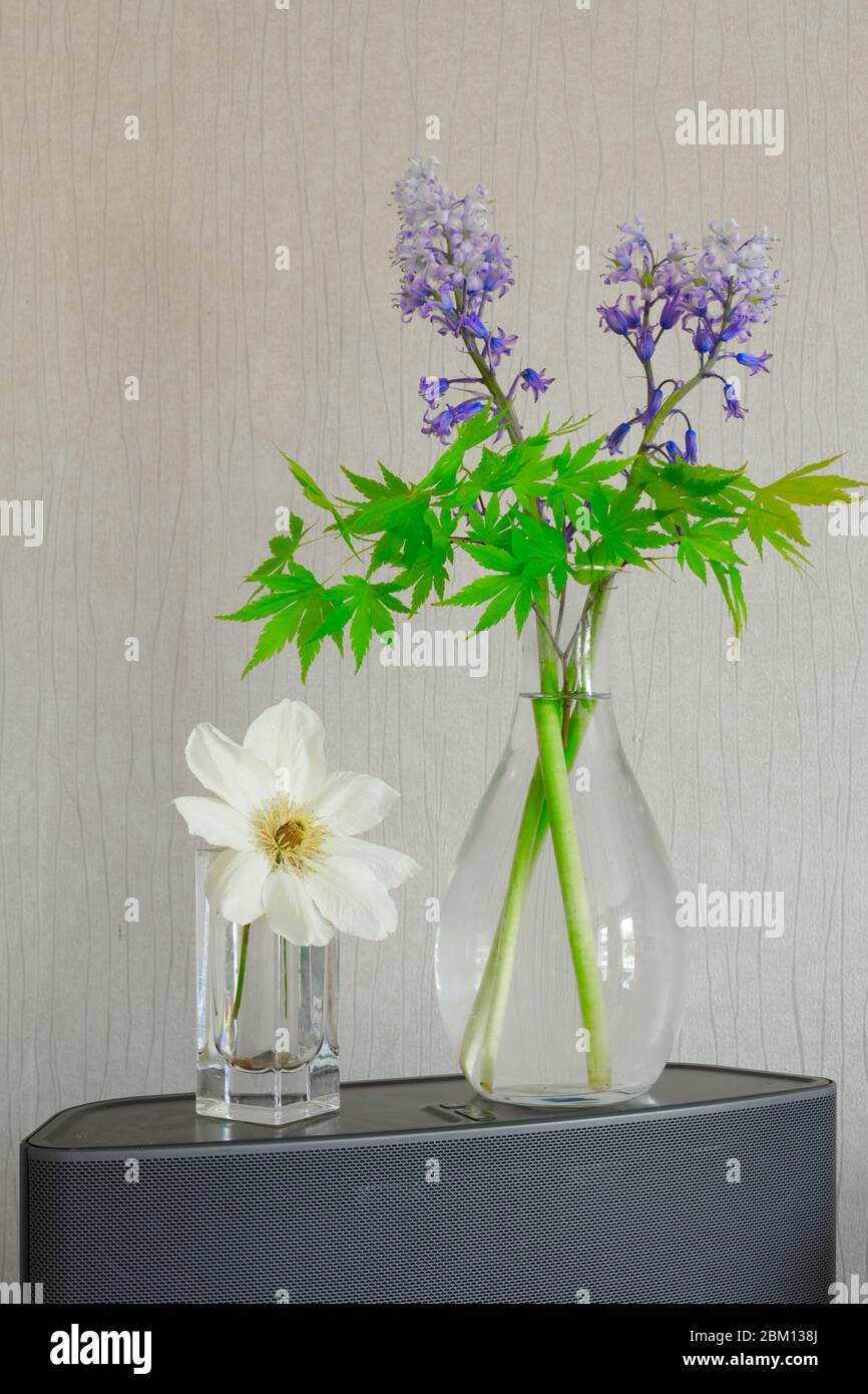 Flower display in vases on a speaker in a family home Stock Photo - Alamy