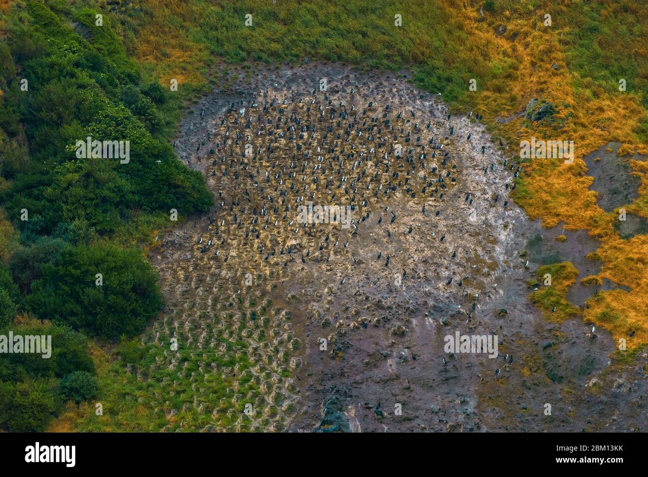 Colony place hi-res stock photography and images - Alamy