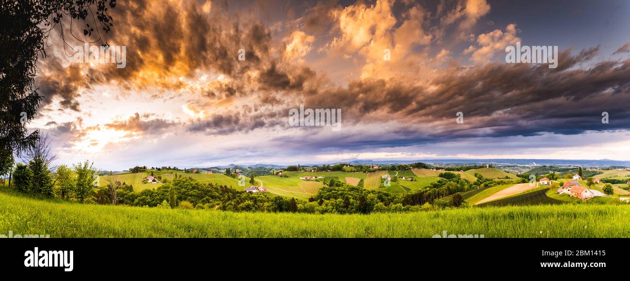 Panorama of vineyards hills in south Styria, Austria. Tuscany like ...