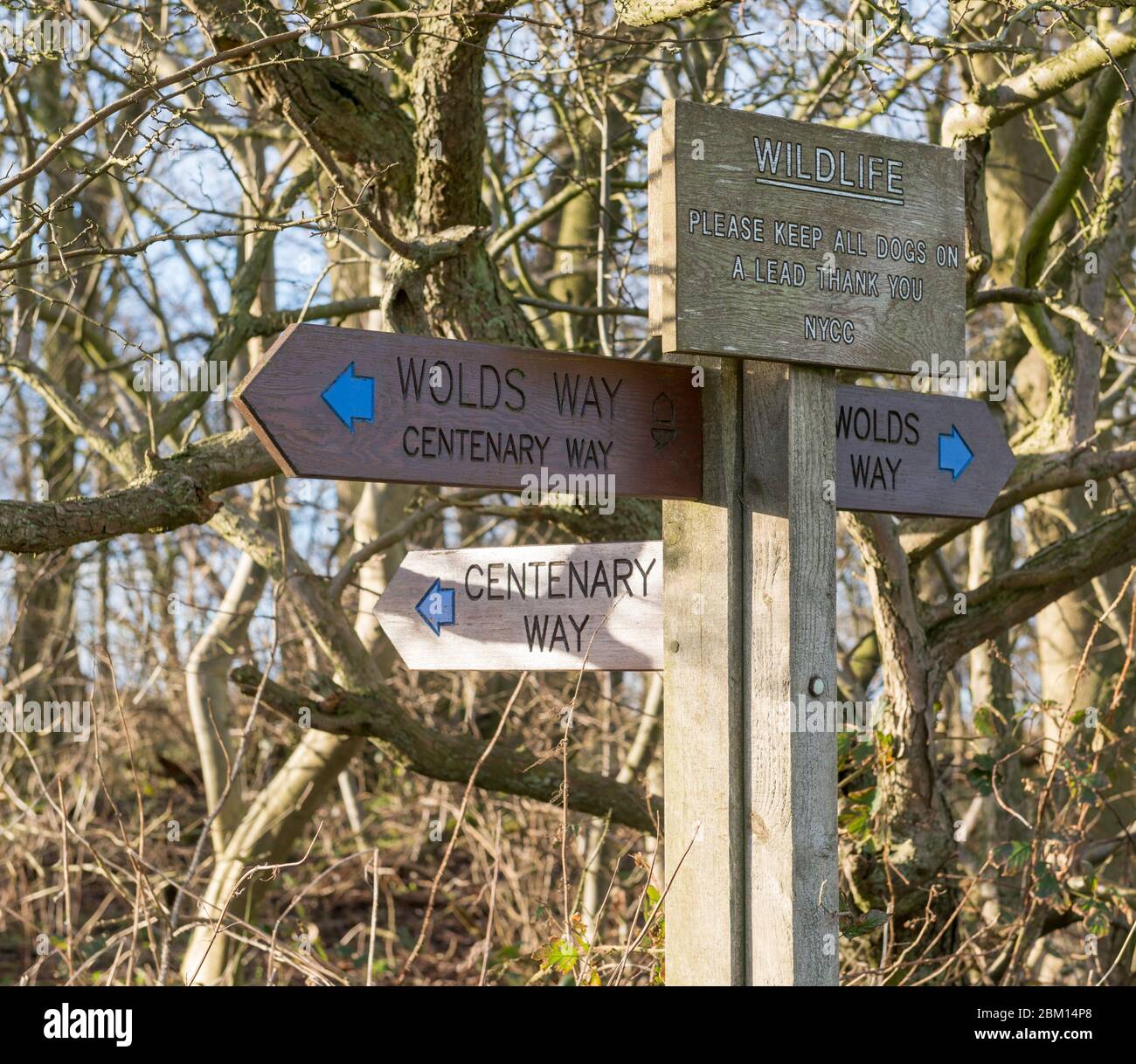 Signpost at the junction of the Centenary Way and Yorkshire Wolds Way ...