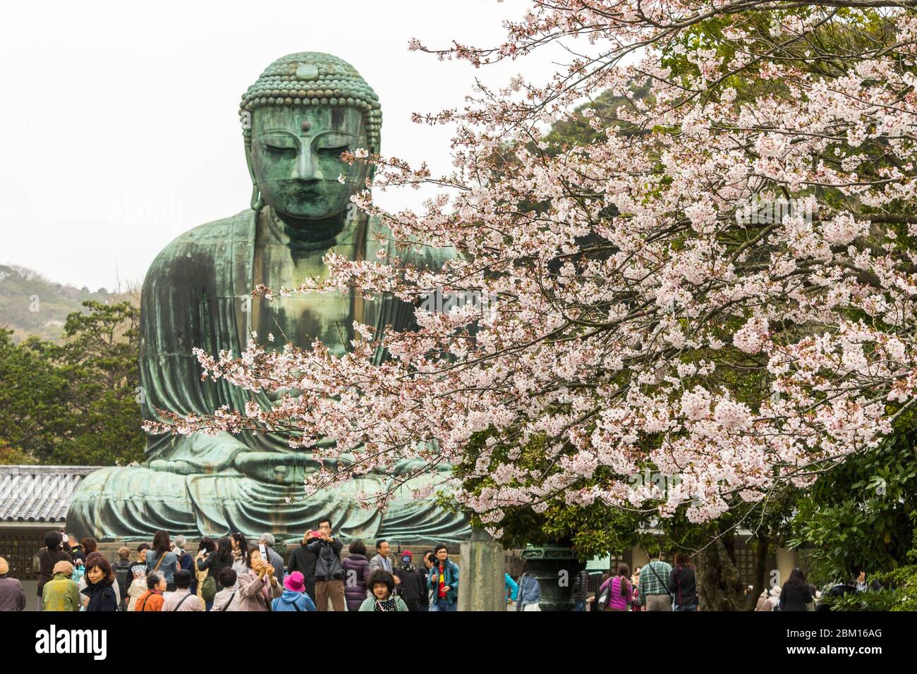 Kamakura, Japan. Views of the Great Buddha (Daibutsu), large bronze ...