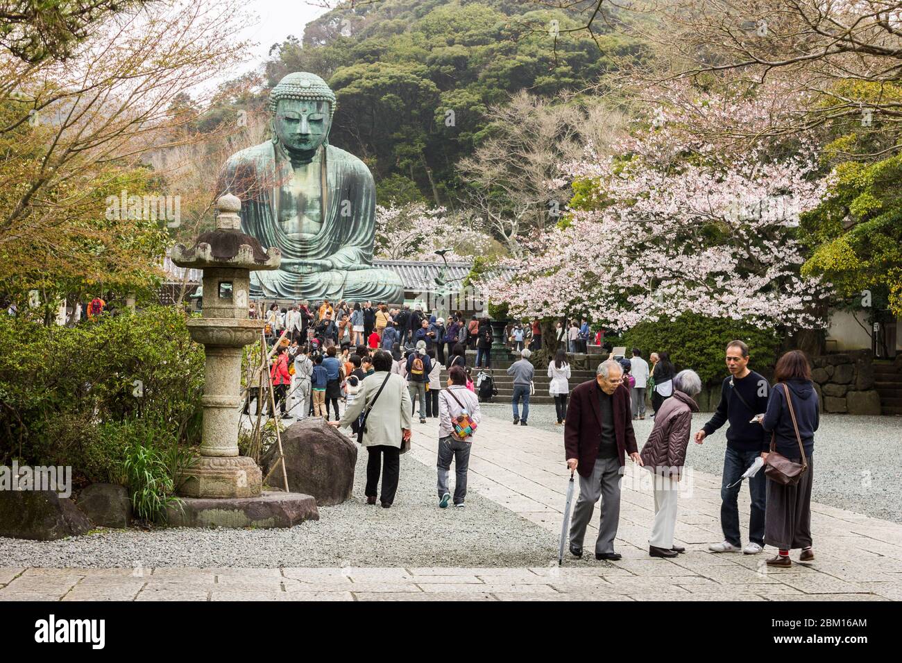 Kamakura, Japan. Views of the Great Buddha (Daibutsu), large bronze ...
