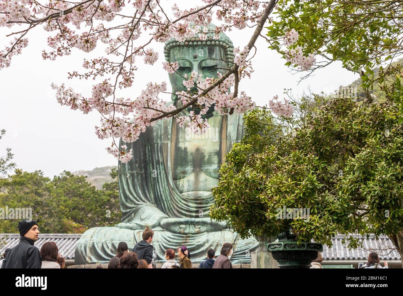 Kamakura, Japan. Views of the Great Buddha (Daibutsu), large bronze ...
