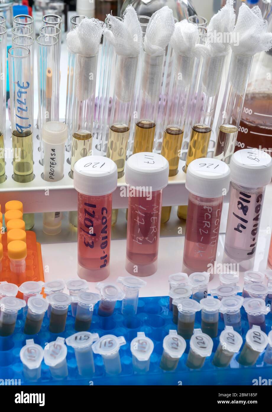 Vials with samples of SARS-COV-2 Covid-19 in a research laboratory ...