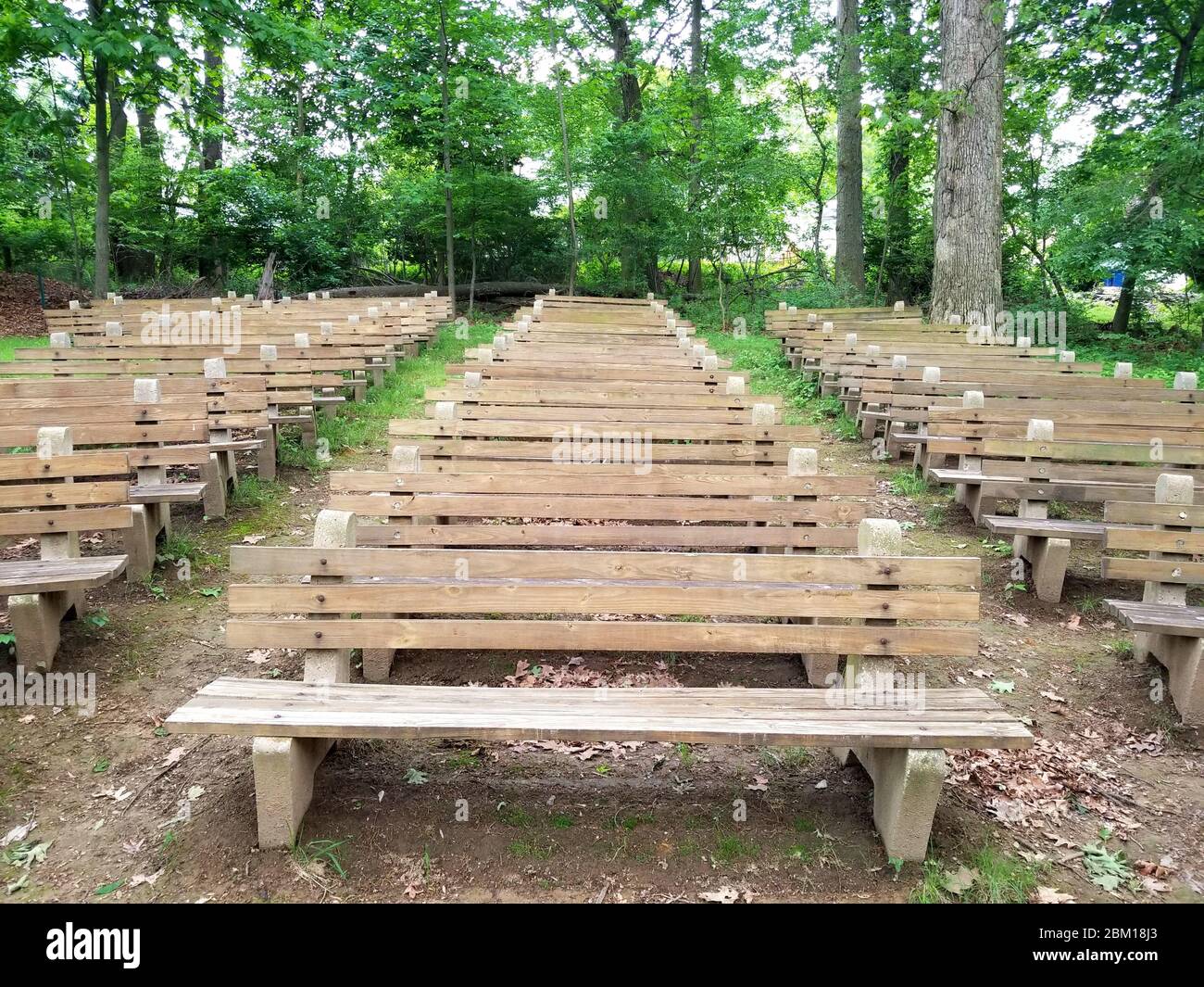 Empty benches trees in hi-res stock photography and images - Alamy