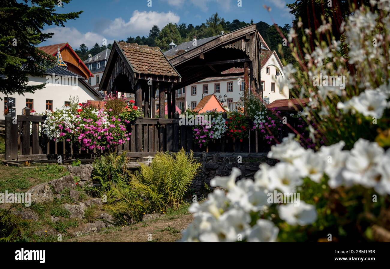Flowering village in Alsace. Sunlit streets full of flowers. France ...