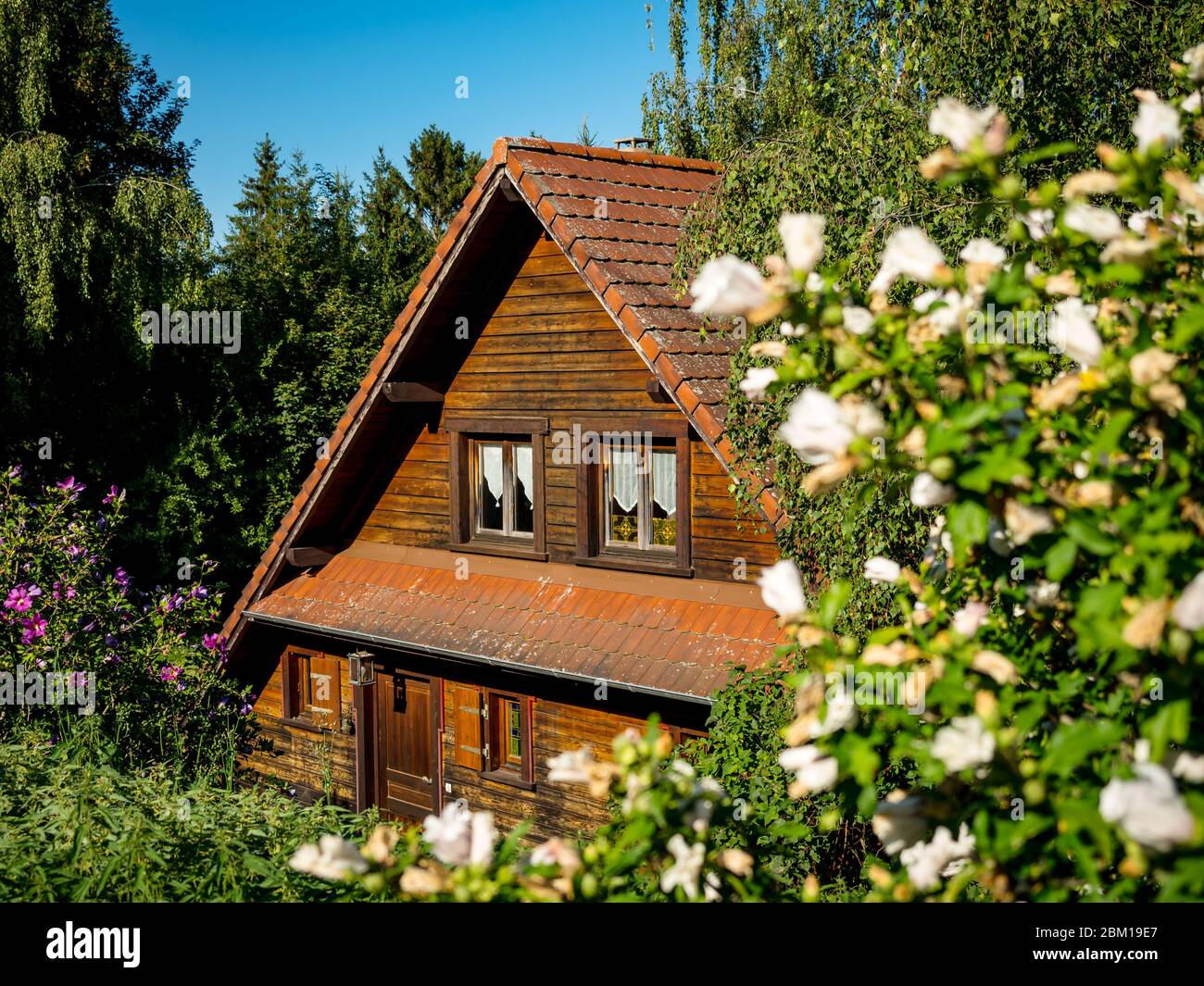 Flowering village in Alsace. Sunlit streets full of flowers. France ...