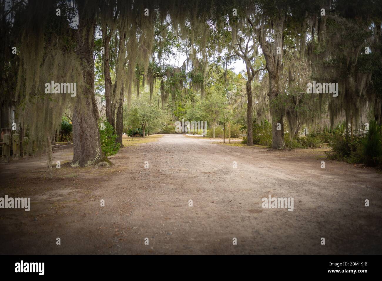 Bonaventure Cemetery Savannah Georgia Stock Photo - Alamy