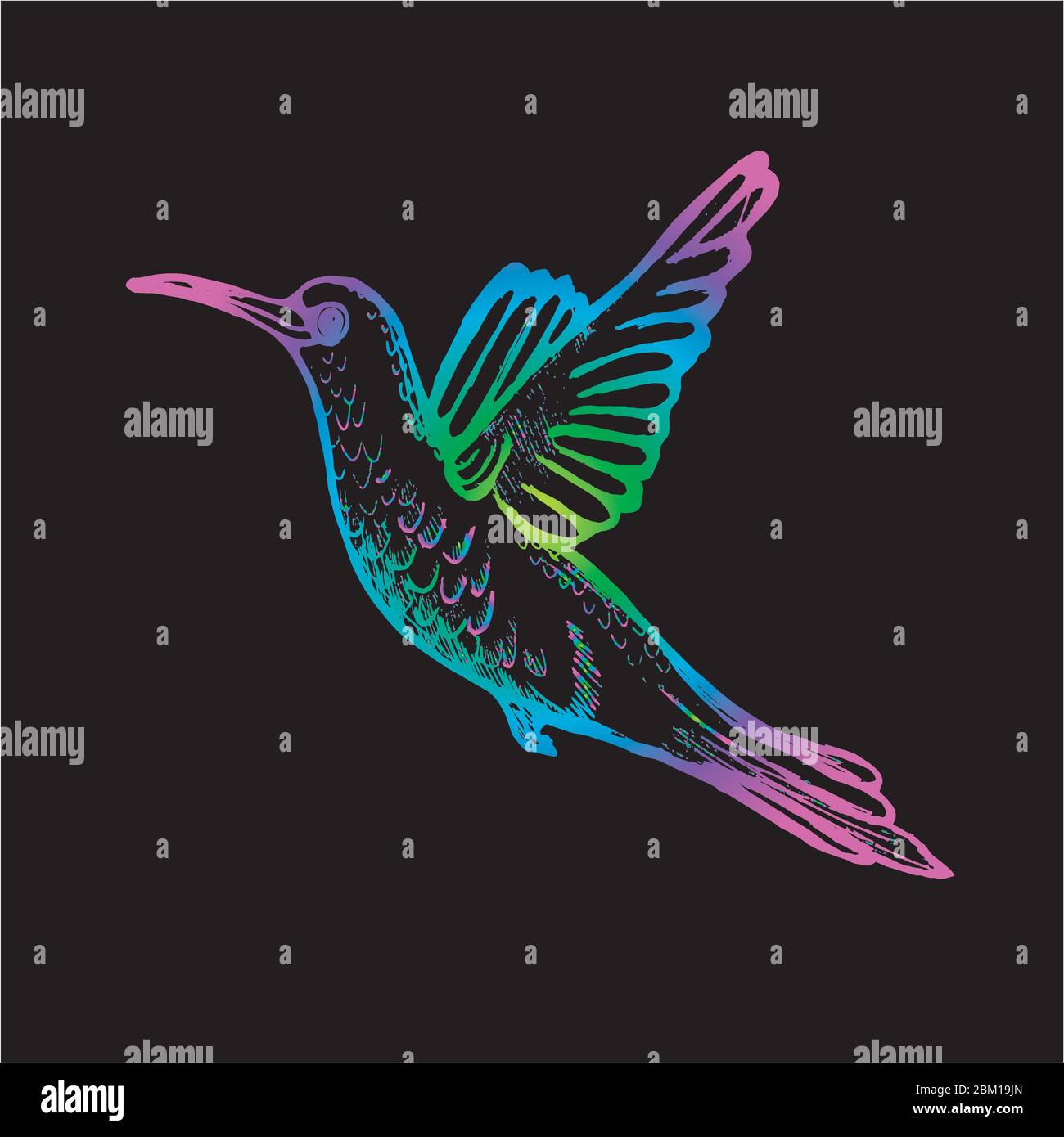 Color gradient illustration of a flying hummingbird. A little ...