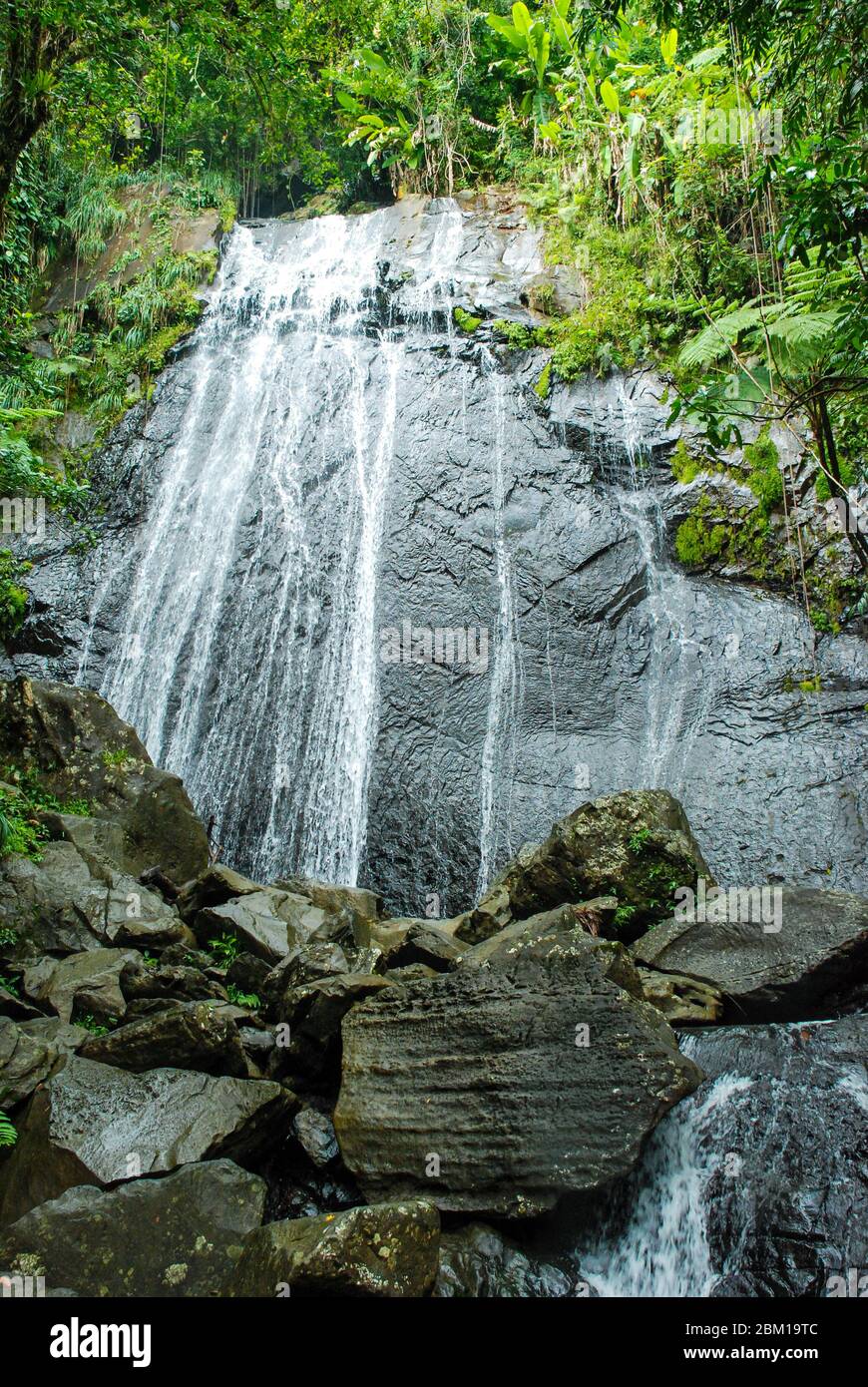 La Coca Falls, waterfalls in the El Yunque National Forest on the ...