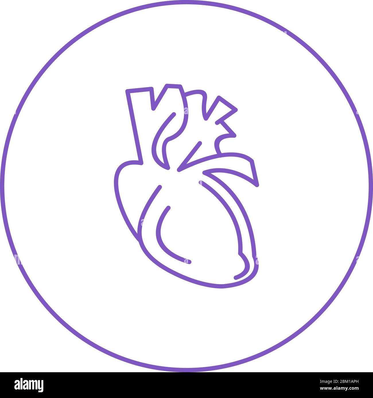Beautiful heart vector line icon Stock Vector Image & Art - Alamy