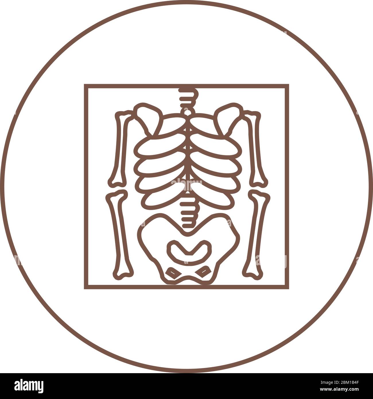 Beautiful skeleton vector line icon Stock Vector Image & Art - Alamy