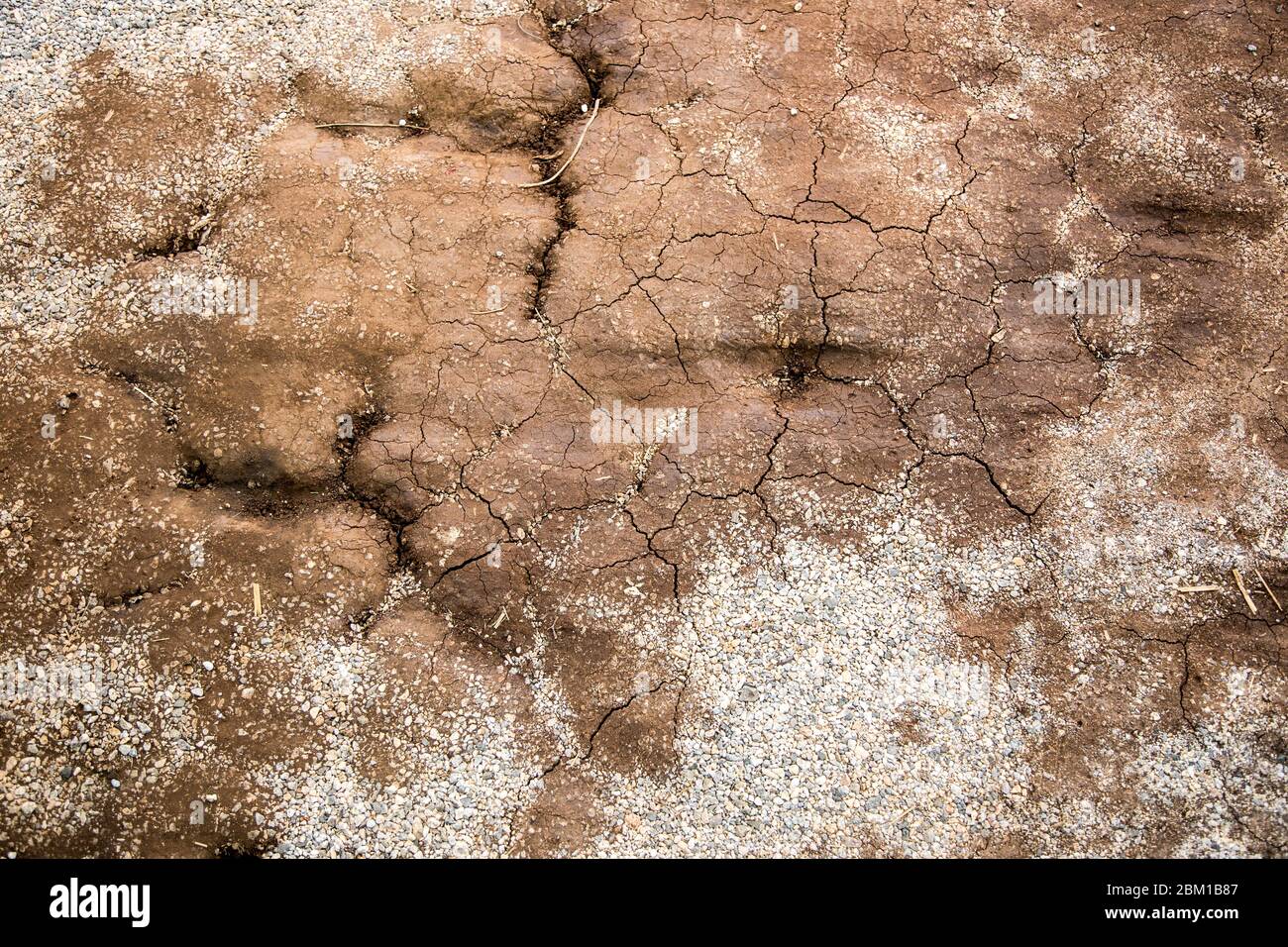 natural texture background brown soil and stone on erath Stock Photo ...