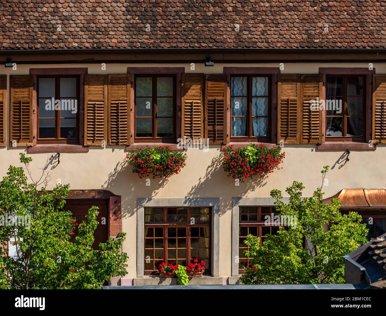 Flowering village in Alsace. Sunlit streets full of flowers. France ...