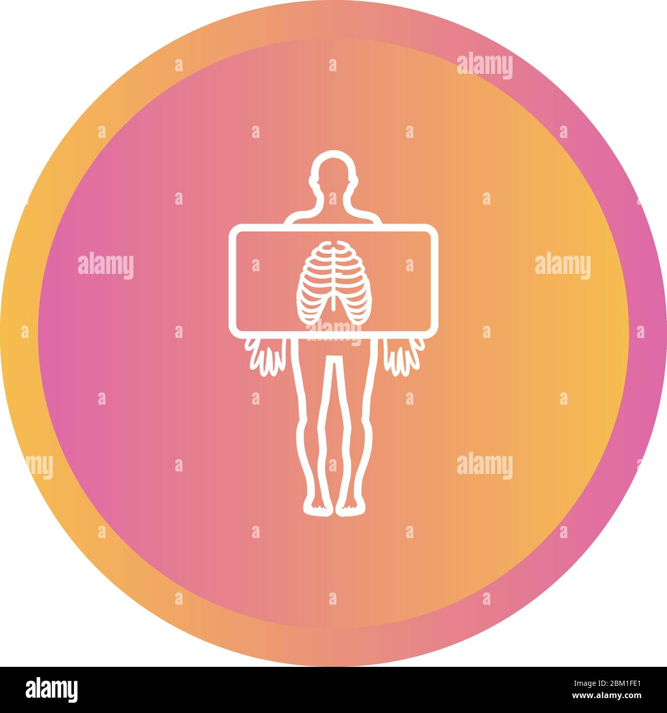 Chest X ray vector line icon Stock Vector Image & Art - Alamy