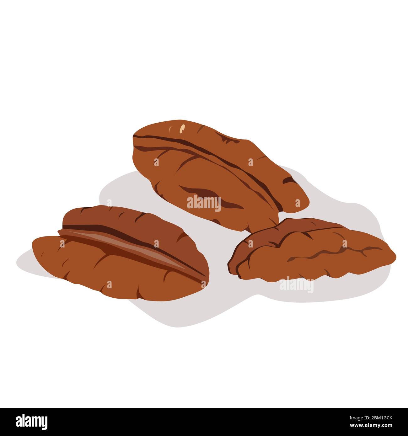 Pecan and shell Stock Vector Images - Alamy