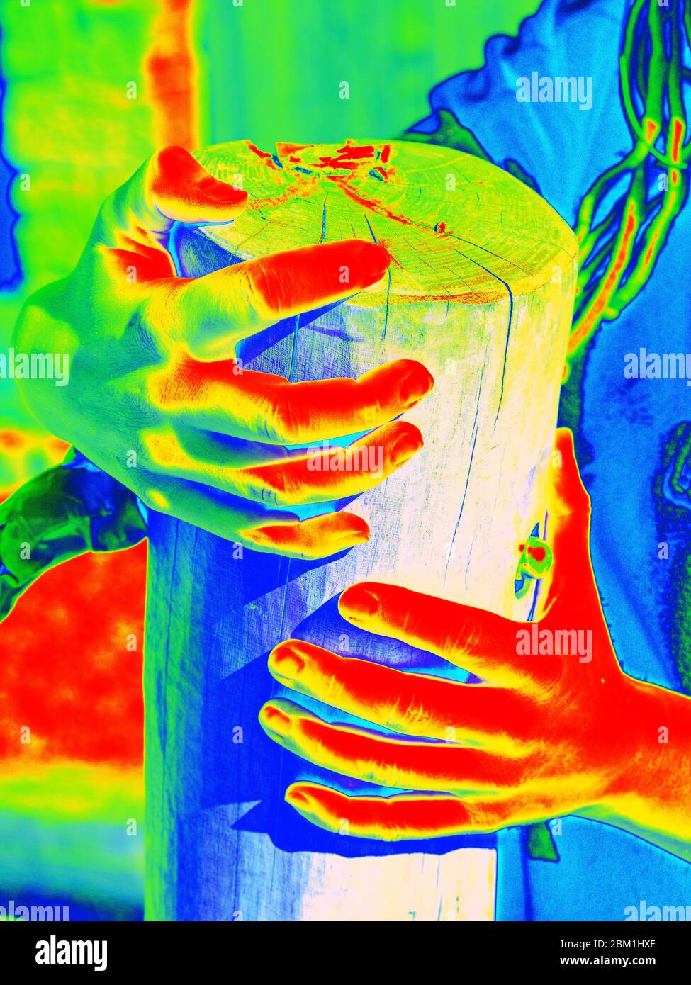 Thermal or ultraviolet radiation scan of hand hold trunk. Nature care ...