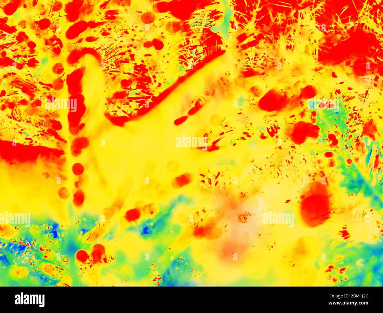 Fire in forest viewd by thermal camera. Temperature radiation scan ...