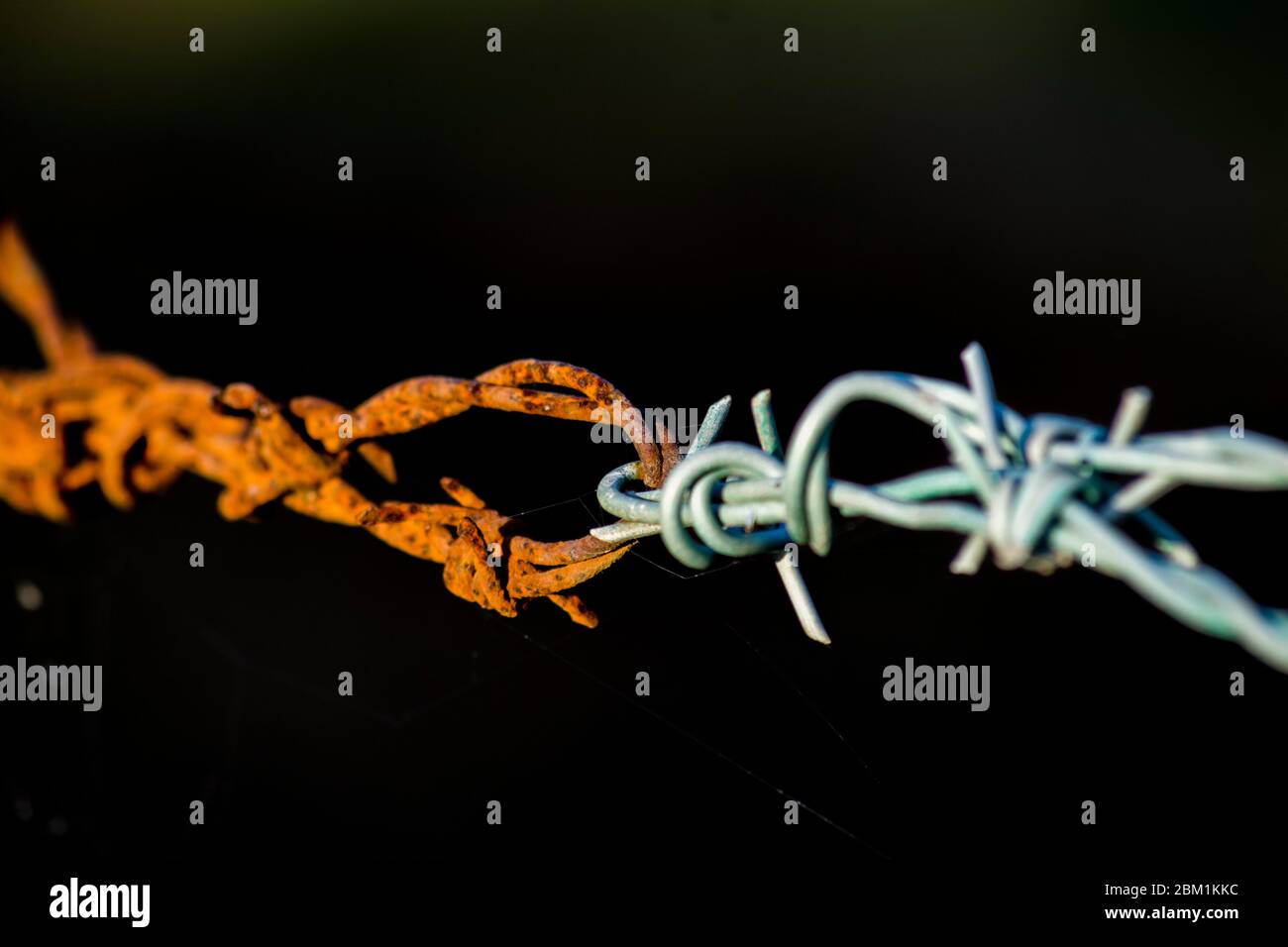 Barbed wire fence metal gate hi-res stock photography and images - Alamy