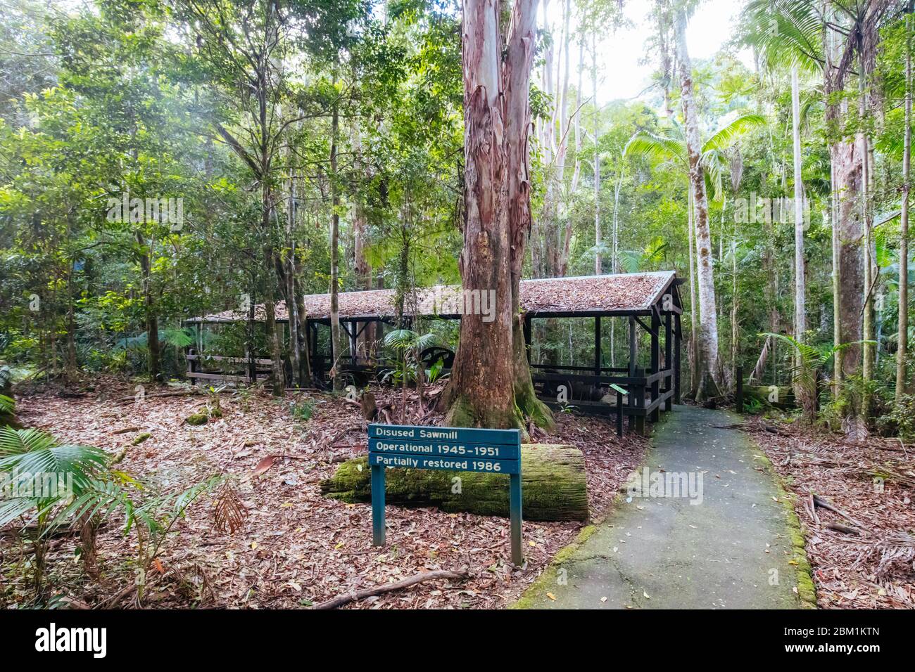 Cougal Cascades Walk in QLD Australia Stock Photo - Alamy