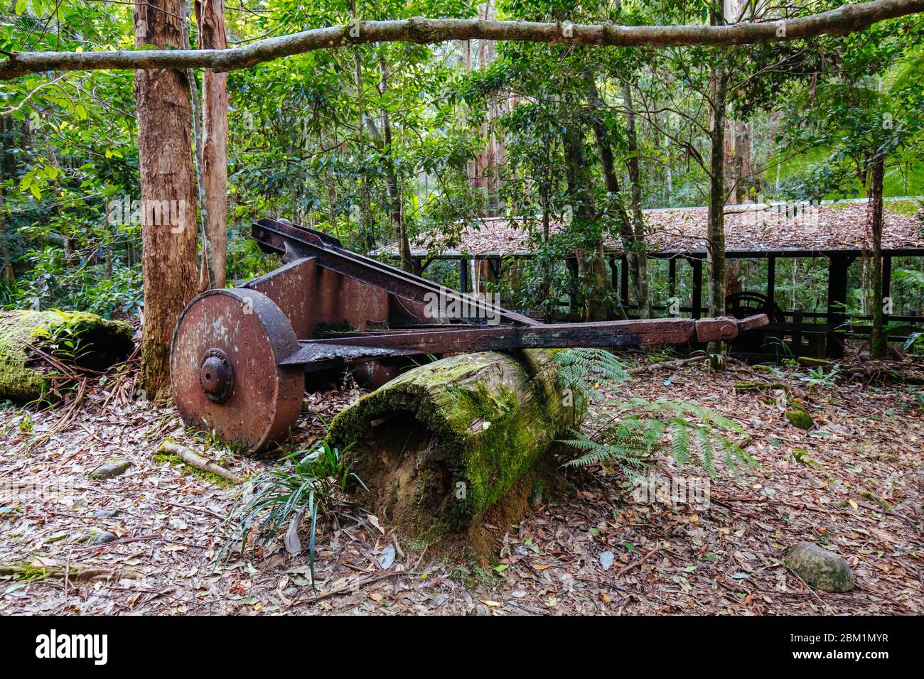 Cougal cascades hi-res stock photography and images - Alamy
