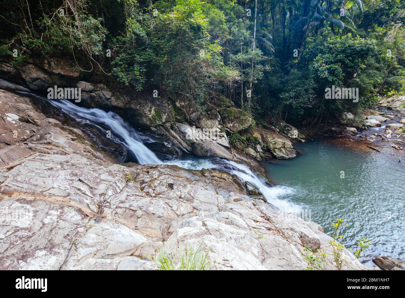 Cougal Cascades Walk in QLD Australia Stock Photo - Alamy