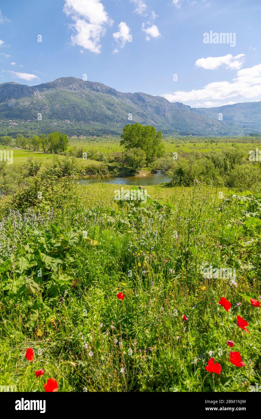 Gruda croatia hi-res stock photography and images - Alamy