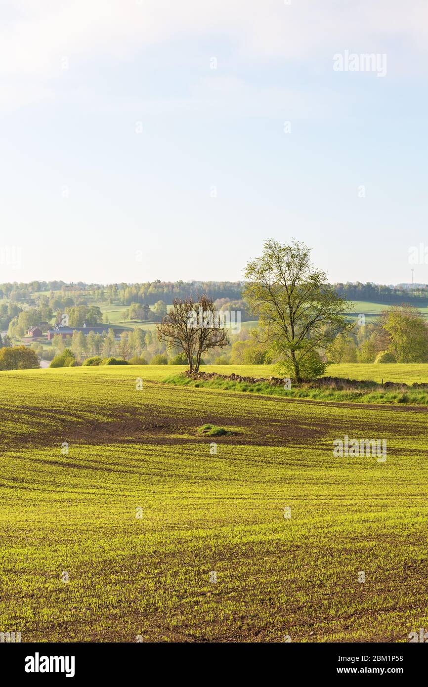 Looking sown hi-res stock photography and images - Alamy