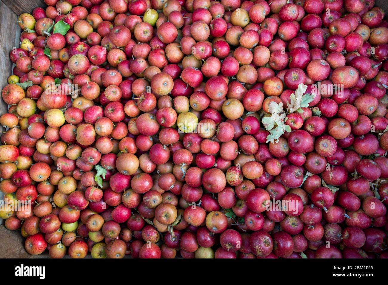 Apple box hi-res stock photography and images - Alamy