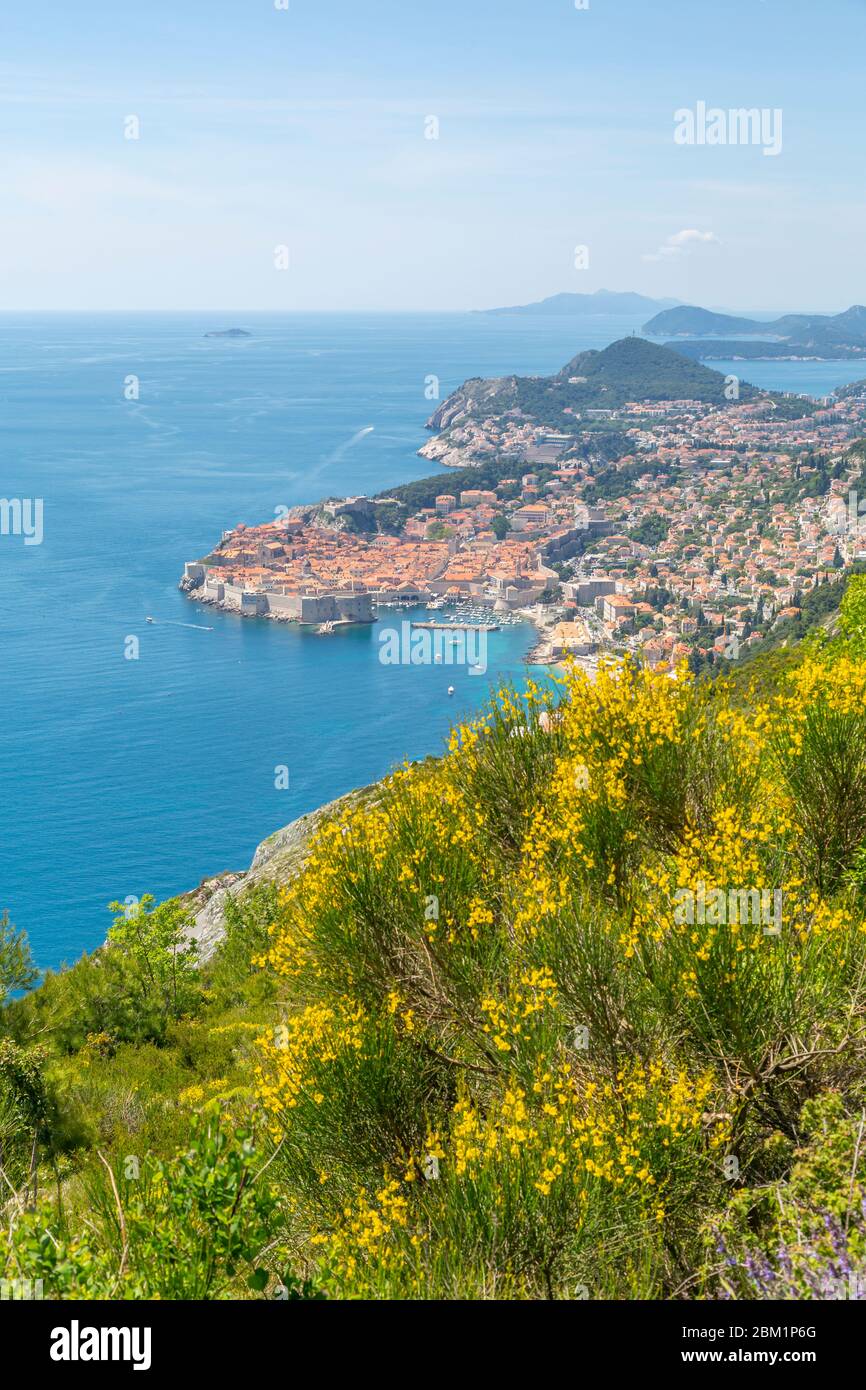 View of Old Walled City of Dubrovnik and Adriatic Sea from elevated ...