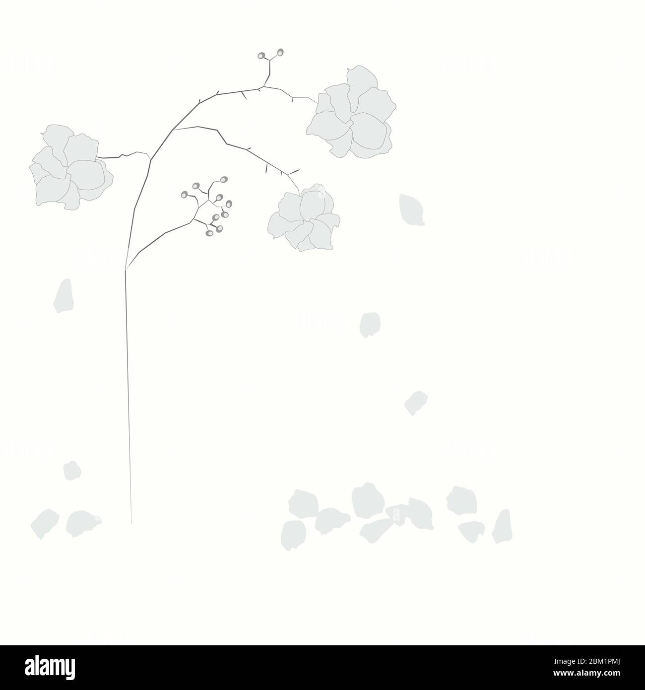 Vector image of a fading flower in pastel colors. Botanical ...