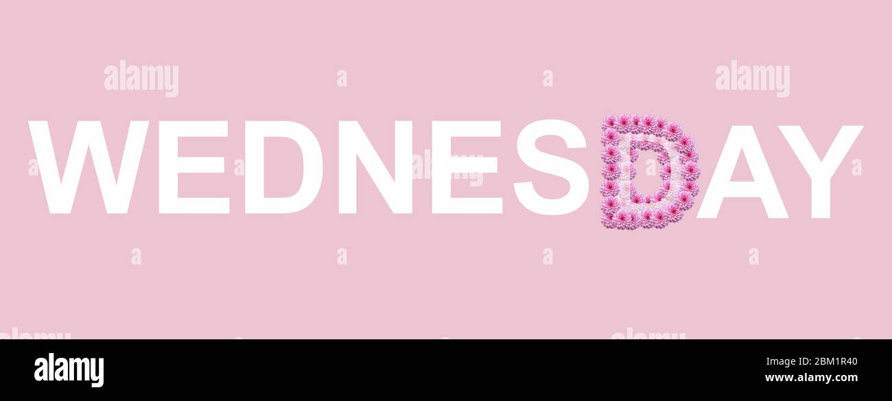 Word "WEDNESDAY" made of flowers on a pink background. Summer concept ...
